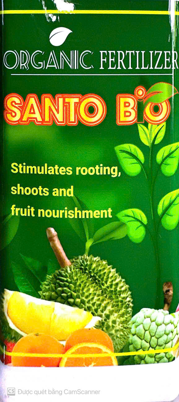 santo bio